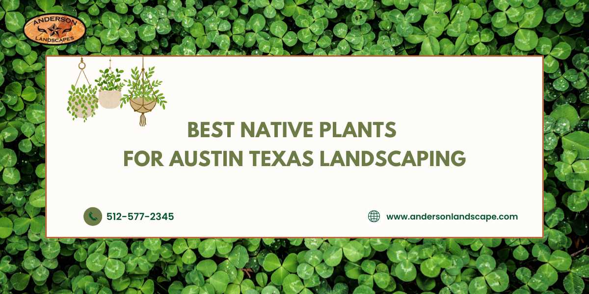 Best Native Plants for Austin Texas Landscaping